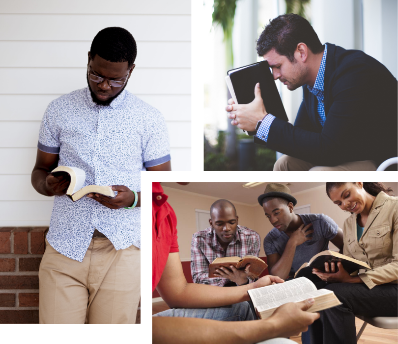 Program Application - CAP